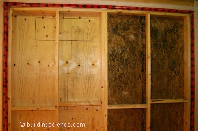 BSI-027: Material View of Mold | buildingscience.com